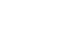 About MVI – MVI Systems Ltd